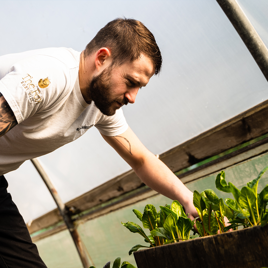 From Farm to Fox – The Fox at Roby Mill